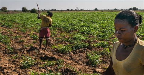 Global Hunger Funding Gap Hit 65 For Neediest Countries According To New Analysis From Action