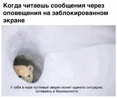 ﻿Когда читаешь сообщения через оповещения на заблокированном экране У себя в норе пугливый