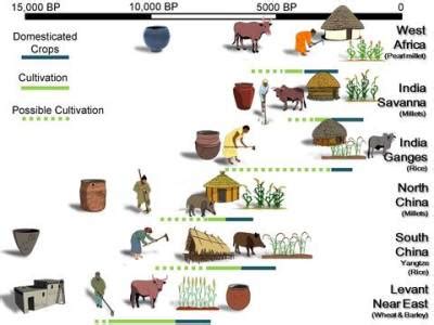 The Origins And Spread Of Agriculture Rice Ucl University College