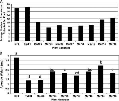 Western Corn Rootworm Bioassays Testing Maize Inbred Lines With Varying Download Scientific