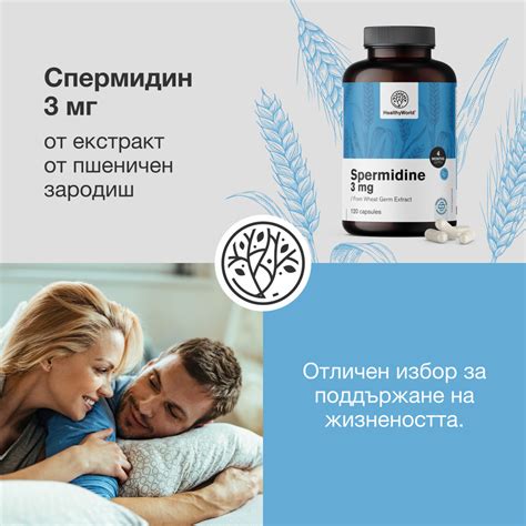 Спермидин 3 мг - от екстракт от пшеничен зародиш, 120 капсули ...