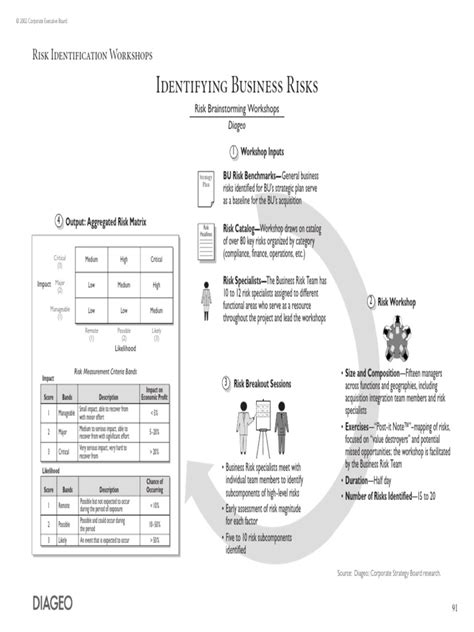 Identification Pdf Risk Business