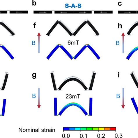 Design Of Biomimetic Crawling Robots With Multimodal Deformation A Download Scientific