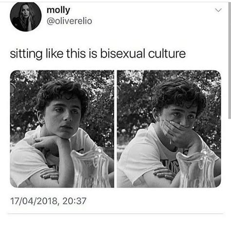 31 Memes Thatll Make Bisexual People Feel Seen