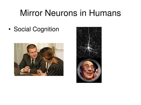 Ppt Mirror Neurons Powerpoint Presentation Free Download Id2011156