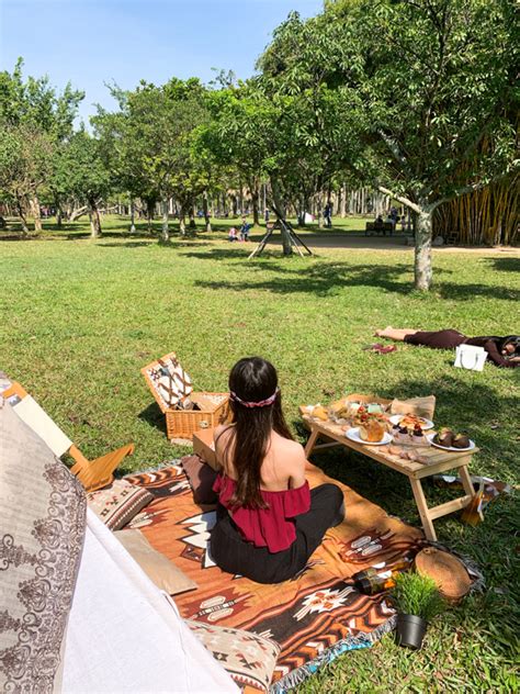 【野餐懶人包】大安森林公園野餐派對！不用準備超chill又可以拍出ig風格露營美照！（璐露野生活野餐餐盒and野餐道具租借） 說說 不成熟女子