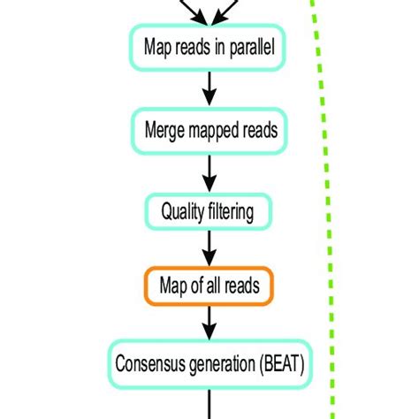 The Basic Workflow Used By Beat When Assembling A Single Query Download Scientific Diagram