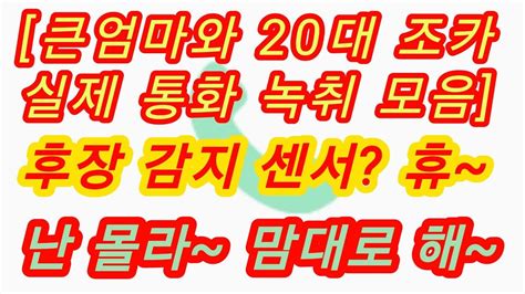 통화 녹음 큰엄마와 조카 이어서 듣기 1시간 30분 무슨 관계인지 뻔하네요 ㅋㅋㅋ 실화사연 충격적인 사연 막장사연 장모님 썰 이모 친구엄마 사이다 응징 반전 사랑