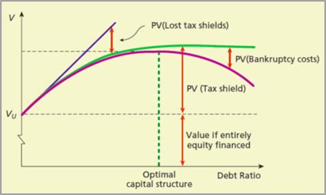 Optimal Capital Structure Why Do Firms Borrow