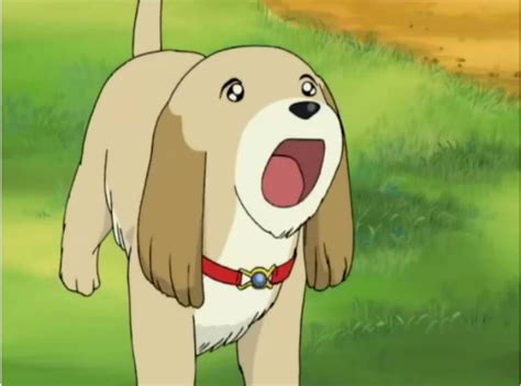 Princess The Hamtaro Wiki Fandom