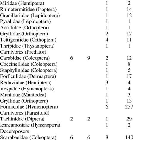 Abundance Of Insect Species In Three Locations In Salayo Cocoa Download Scientific Diagram
