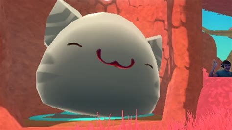 Beeg Catslime Rancher Part 4 Youtube