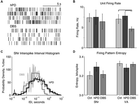 Single Unit Firing Pattern Activity A Representative Rastergrams Of Download Scientific