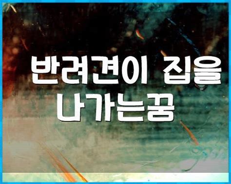 반려견이 집을 나가는꿈