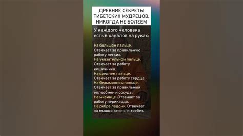 Секреты тибетских мудрецов полезныесоветы здоровье полезнознать польза Youtube
