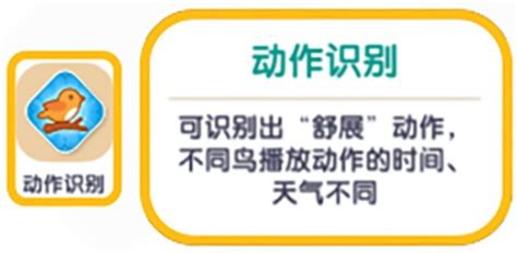 心动小镇观鸟攻略 心动小镇鸟类图鉴大全