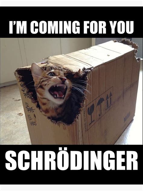 Schrodinger Cat Meme Schrodingers Cat Cartoons And Comics Funny