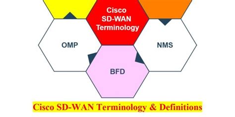 Cisco SD WAN Terminology A Comprehensive Guide