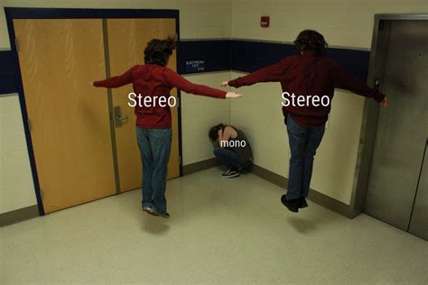 T Pose Your Monitors To Assert Your Dominance R Audiomemes