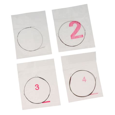 Set Of 4 Liuqin Strings Instrument Chinese Lute Gu Grandado