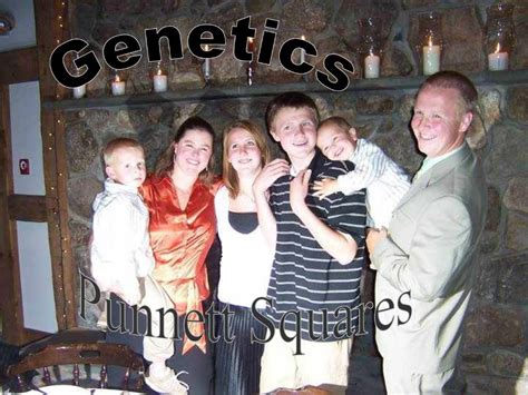 PPT Genetics PowerPoint Presentation Free Download ID