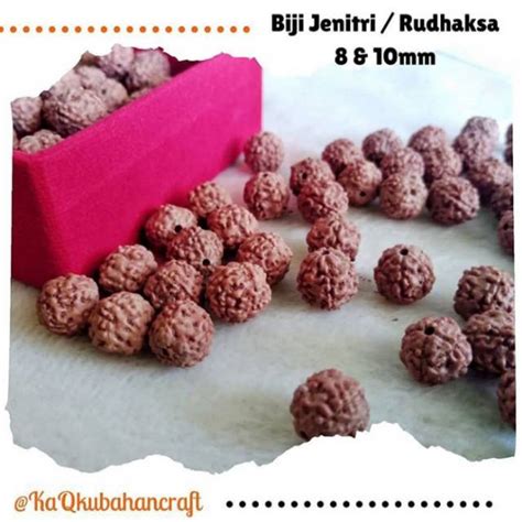 Jual Biji Jenitri Rudraksha 10mm 25 Biji Shopee Indonesia