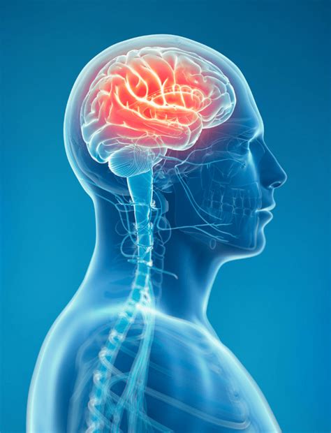 Neurovascular Interventions Dr Karthikeyan Vascular Specialist