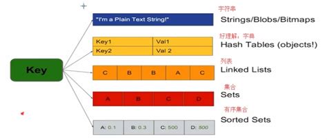 Redis 安装 测试是否安装成功命令 5种类型的增删改查 我在春天等伱 博客园