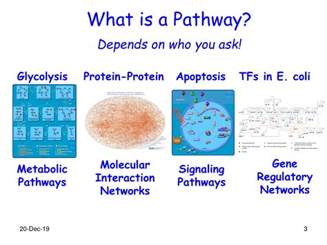 Ppt Biopax Encapsulation Of Biological Pathway Data Powerpoint