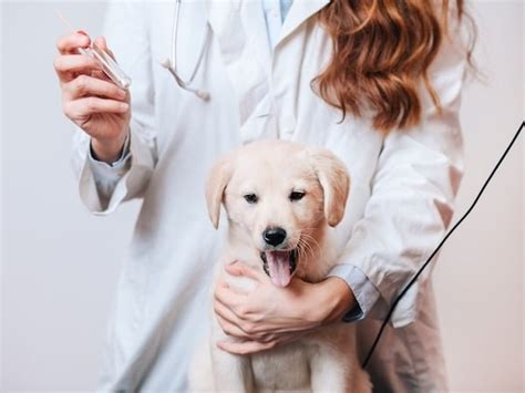 Tiny Swabs A Guide To Swabs For Small Jobs