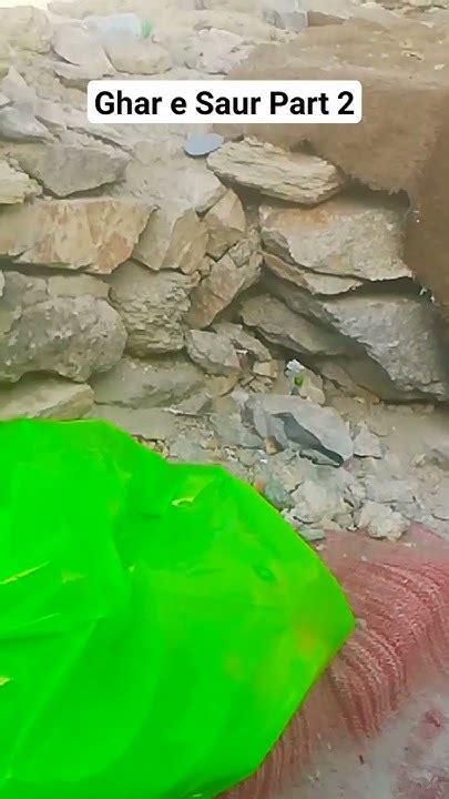 Beautiful Birds Around Ghar E Saur Hajreaswad Islam Makkah Medina