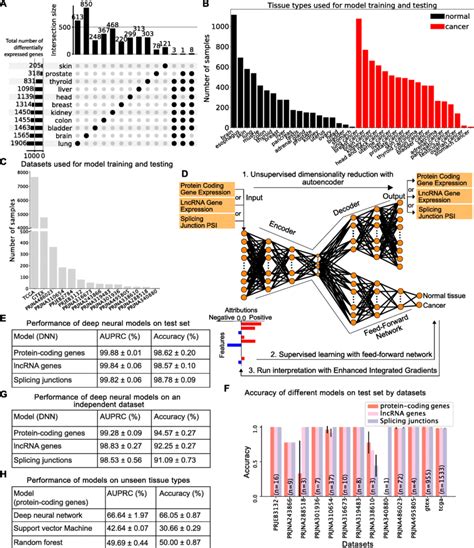 A Upset Plot Summarizing Pairwise Differential Gene Expression Analyses