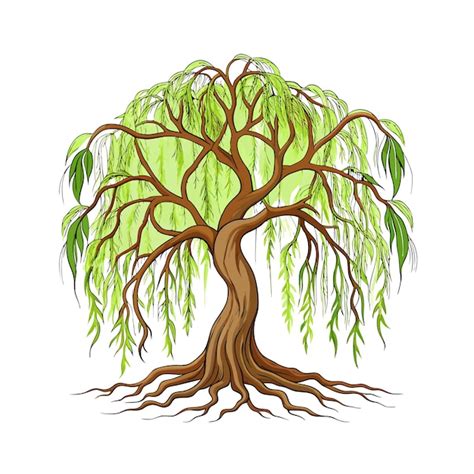 Premium Vector Tree With Root Illustration