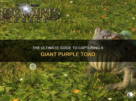The Ultimate Guide To Capturing A Giant Purple Toad Petshun