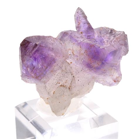 Sceptered Amethyst And Japan Law Twin Maro Vaolavo Madagascar
