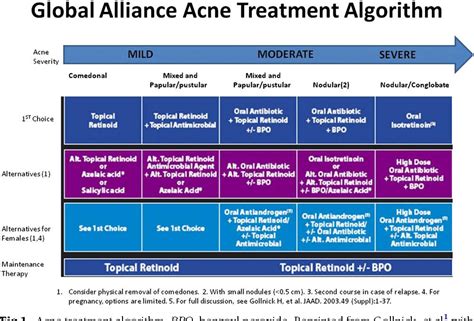 Figure 1 From New Insights Into The Management Of Acne An Update From The Global Alliance To