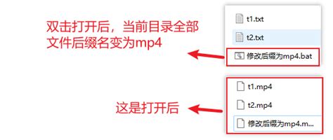批量操作文件后缀与进程管理及文本比较脚本指南 Csdn博客