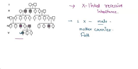 Solved What Is The Inheritance Pattern For The Following Trait