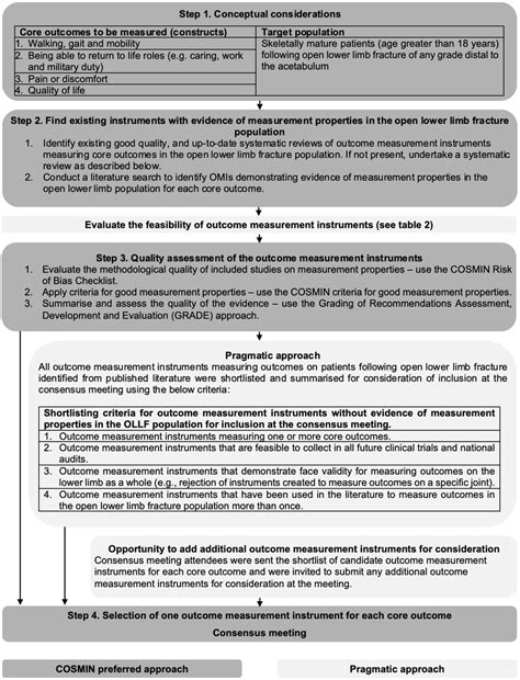 Schematic Flow Diagram Summarizing The Approach Used For The Selection