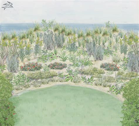 Sample Landscape Plan For A Coastal Dune