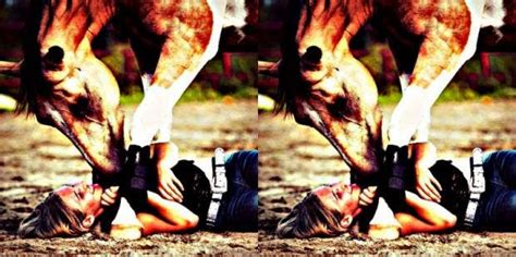 The Erotic Zoos In Germany Where People Have Sex With Animals Yourtango