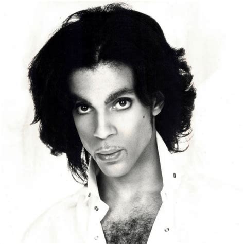 Prince Rogers Nelson Doppleai