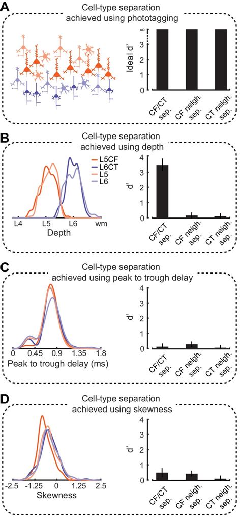 Figures And Data In Parallel Pathways For Sound Processing And