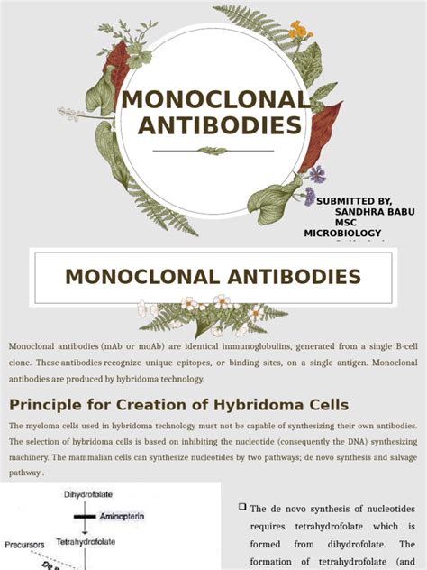 Monoclonal Antibody Production Process Pdf Monoclonal Antibody