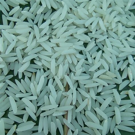 برنج صدری درجه یک 10 کیلوگرم خرید برنج صدری درجه یک خرید آنلاین