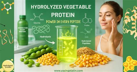 Hydrolyzed Vegetable Protein 10 Powerful Benefits And Risks