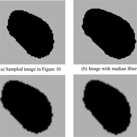 Images With Filtering Algorithm Download Scientific Diagram