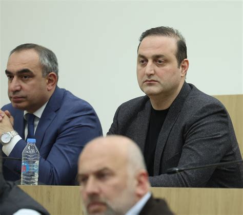 ქართული ოცნება Georgian Dream პოლიტიკური გაერთიანება ქართული ოცნება დემოკრატიული