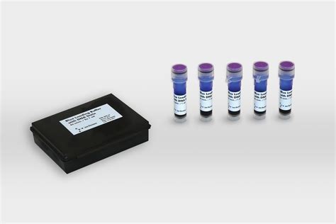Blue Gel Loading Buffer With DNA Stain
