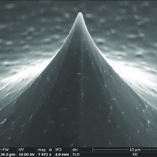 SEM Image Of A Fabricated Silicon Tip A Entire View Of The Tip B Download Scientific